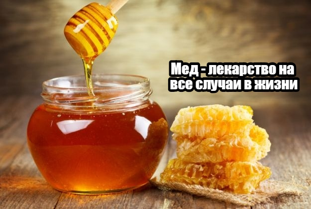 Мед - лекарство на все случаи в жизни!